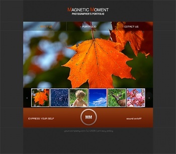 Flash Templates - DreamTemplate