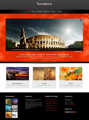 Pro Website Templates - DreamTemplate