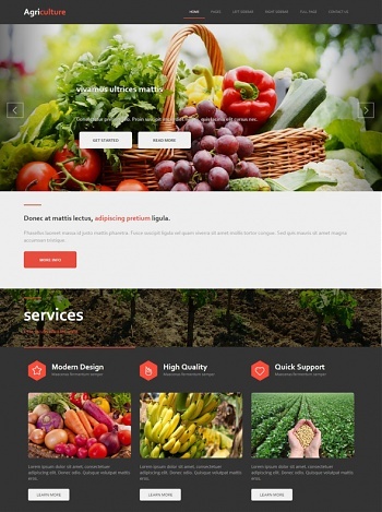 Agriculture & Farming - Website Templates - DreamTemplate