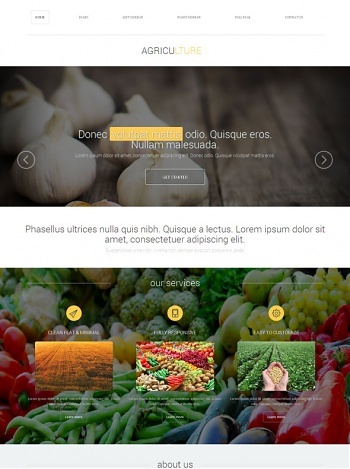 Agriculture & Farming - Website Templates - DreamTemplate