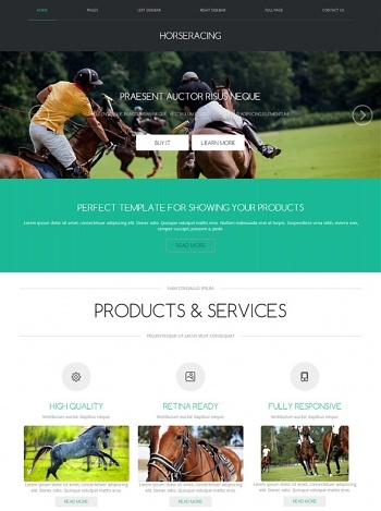 Horse Racing - Website Templates - DreamTemplate