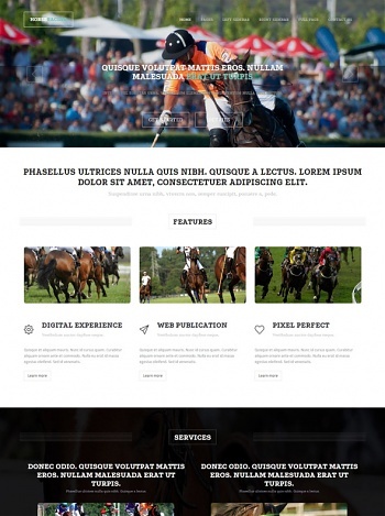 Horse Racing - Website Templates - DreamTemplate