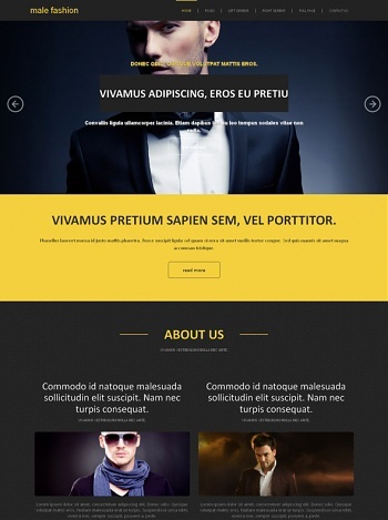 Male Fashion - Website Templates - DreamTemplate