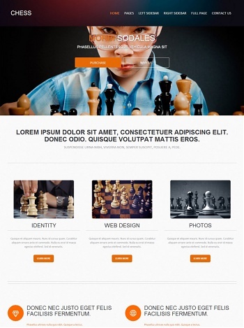 Chess - Website Templates - DreamTemplate