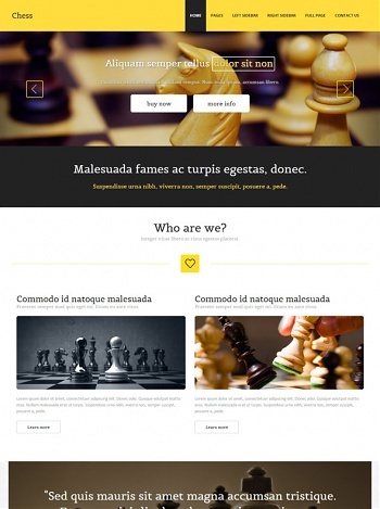 Chess - Website Templates - DreamTemplate