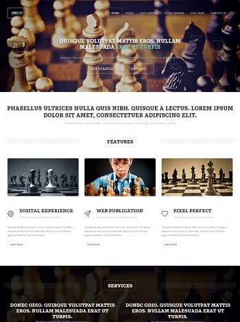 Chess - Website Templates - DreamTemplate