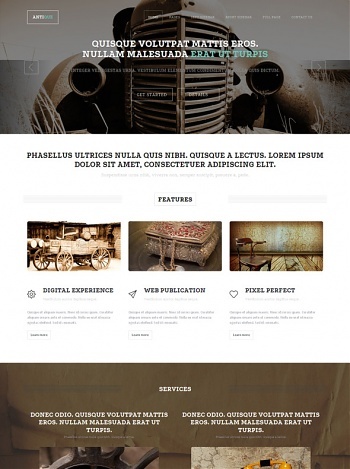 Antique - Website Templates - DreamTemplate