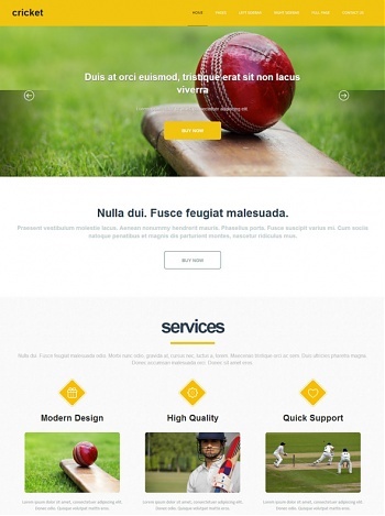 Cricket - Website Templates - DreamTemplate