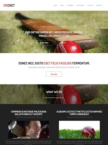 Cricket - Website Templates - DreamTemplate