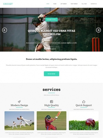 Cricket - Website Templates - DreamTemplate