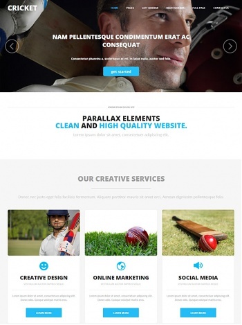 Cricket - Website Templates - DreamTemplate