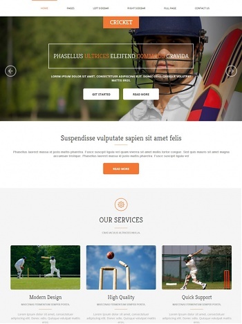 Cricket - Website Templates - DreamTemplate