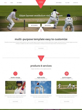 Cricket - Website Templates - DreamTemplate
