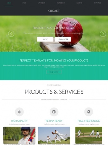 Cricket - Website Templates - DreamTemplate