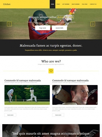 Cricket - Website Templates - DreamTemplate