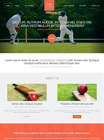 Cricket - Website Templates - DreamTemplate