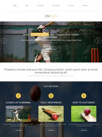 Cricket - Website Templates - DreamTemplate