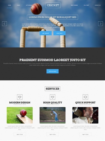 Cricket - Website Templates - DreamTemplate