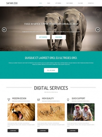 Safari Zoo - Website Templates - DreamTemplate