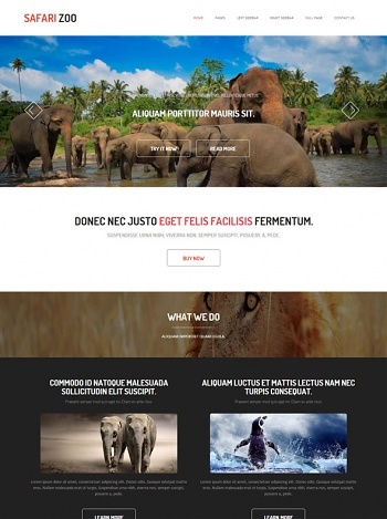 Safari Zoo - Website Templates - DreamTemplate