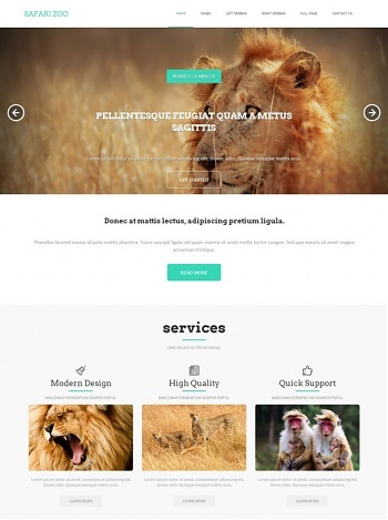 Safari Zoo - Website Templates - DreamTemplate