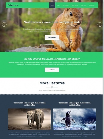 Safari Zoo - Website Templates - DreamTemplate