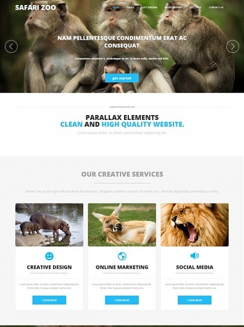 Safari Zoo - Website Templates - DreamTemplate