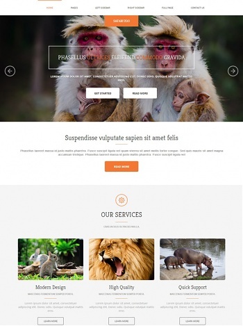 Safari Zoo - Website Templates - DreamTemplate