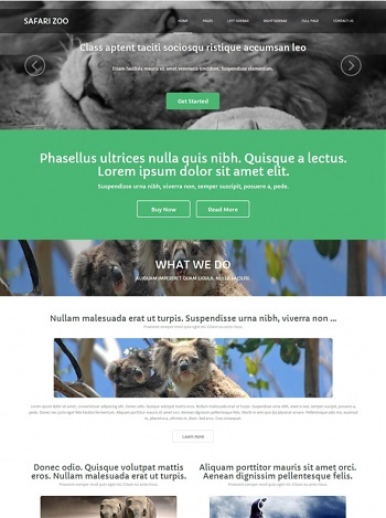 Safari Zoo - Website Templates - DreamTemplate