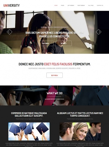 University & College - Website Templates - DreamTemplate