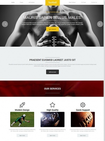 Football - Sports - Website Templates - DreamTemplate