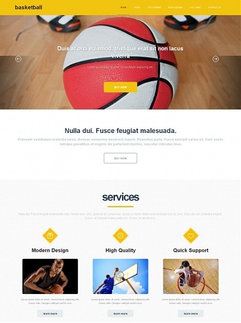 Basketball - Sports - Website Templates - DreamTemplate