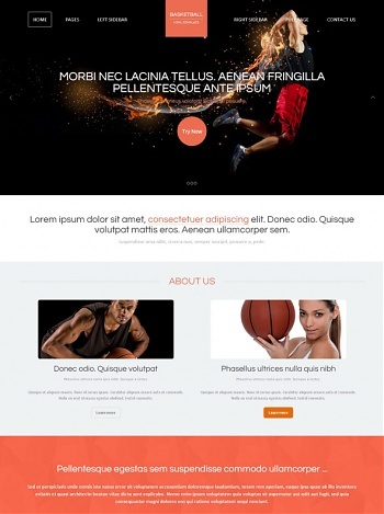 Basketball - Sports - Website Templates - DreamTemplate