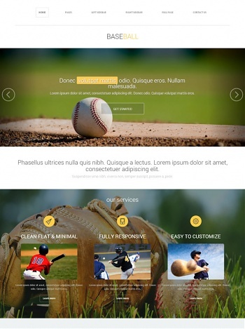Baseball - Sports - Website Templates - DreamTemplate