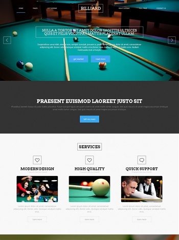 Billiard - Sports - Website Templates - DreamTemplate