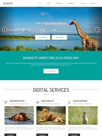 Wildlife - Animals & Pets - Website Templates - DreamTemplate
