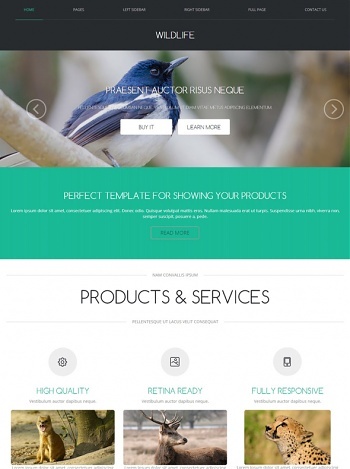 Wildlife - Animals & Pets - Website Templates - DreamTemplate