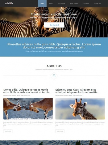 Wildlife - Animals & Pets - Website Templates - DreamTemplate