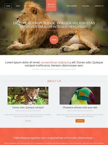 Wildlife - Animals & Pets - Website Templates - DreamTemplate