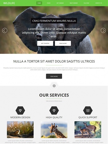 Wildlife - Animals & Pets - Website Templates - DreamTemplate