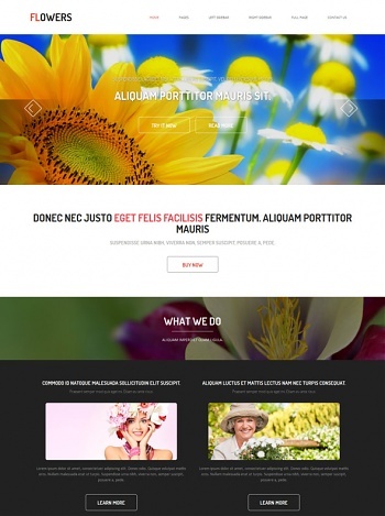 Flower - Website Templates - DreamTemplate