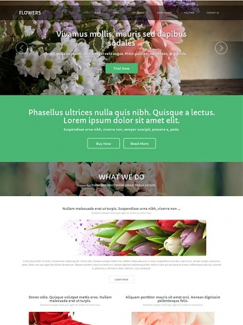 Flower - Website Templates - DreamTemplate