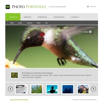 Website Templates - DreamTemplate